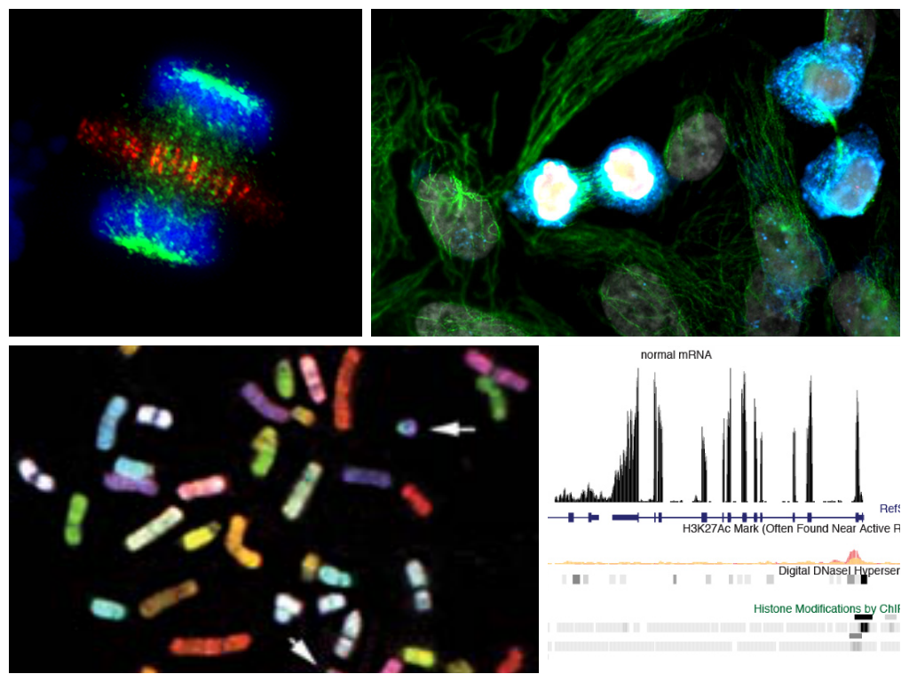 Home | R. O'Neill Lab